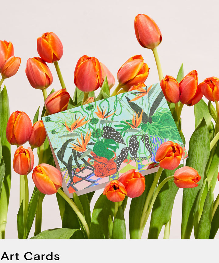 Wrap #13 Artist Spotlight: Laura Burke